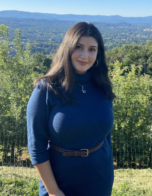 Sara J. Adeli | Institute for Constitutional Advocacy and Protection ...