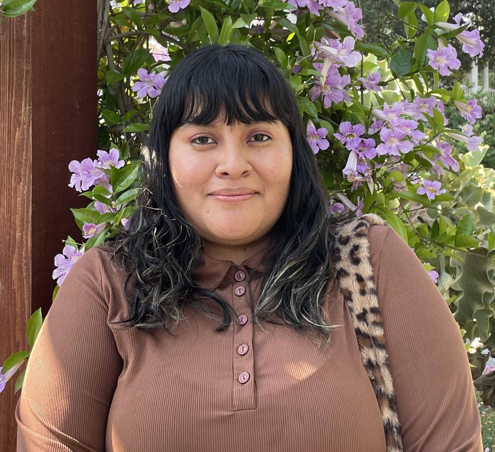 Judicial Innovation Fellowship Projects | Institute for Technology Law ...